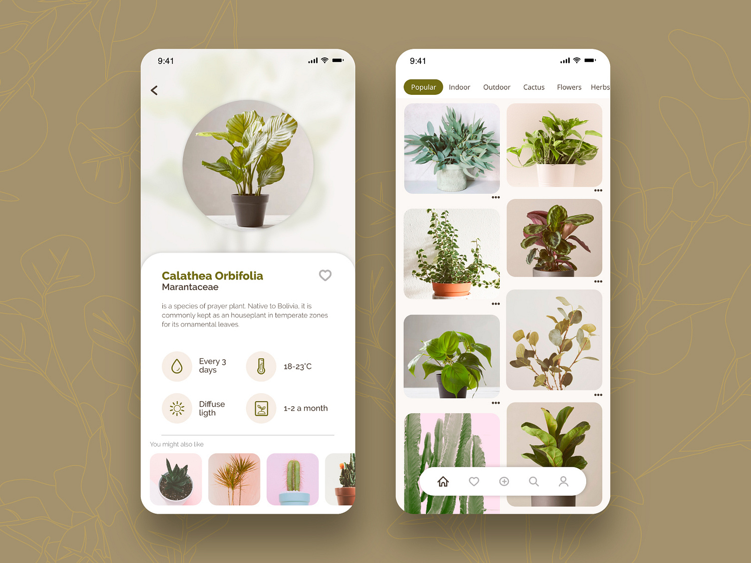 Plant- App Concept by grecia colunga on Dribbble