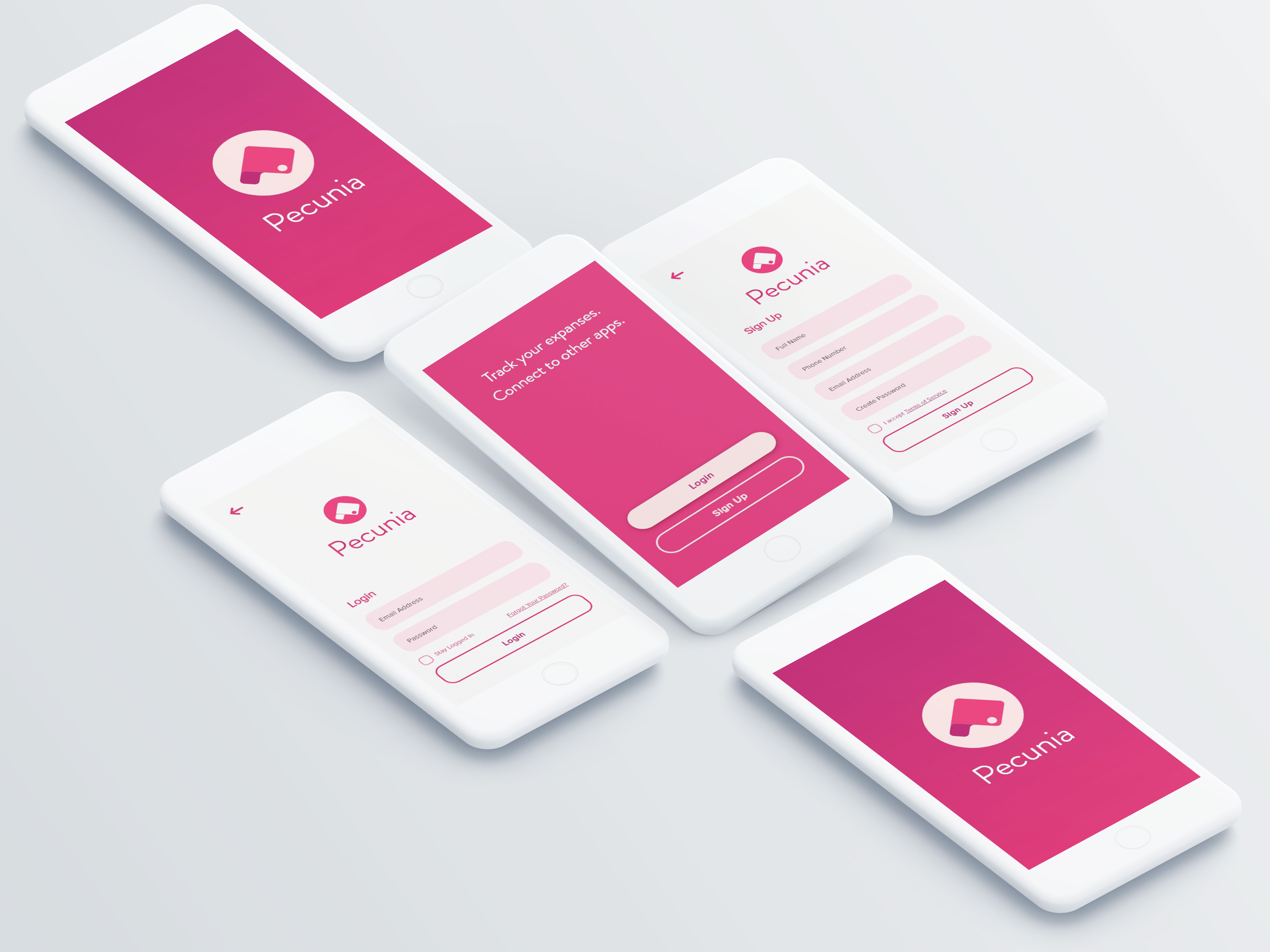 Pecunia by Paula Araújo on Dribbble