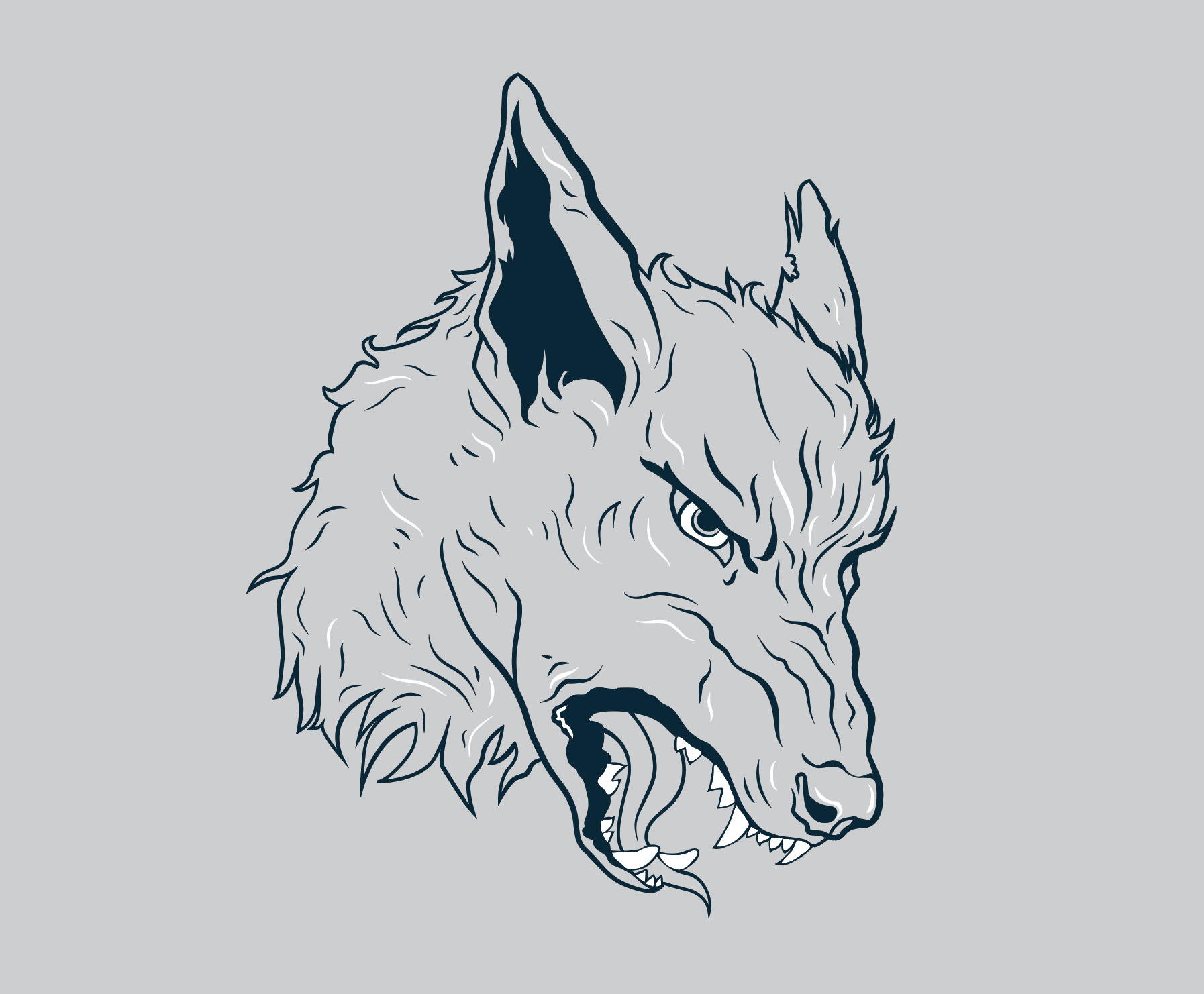 HAIR OF THE DOG by Samantha Folz on Dribbble