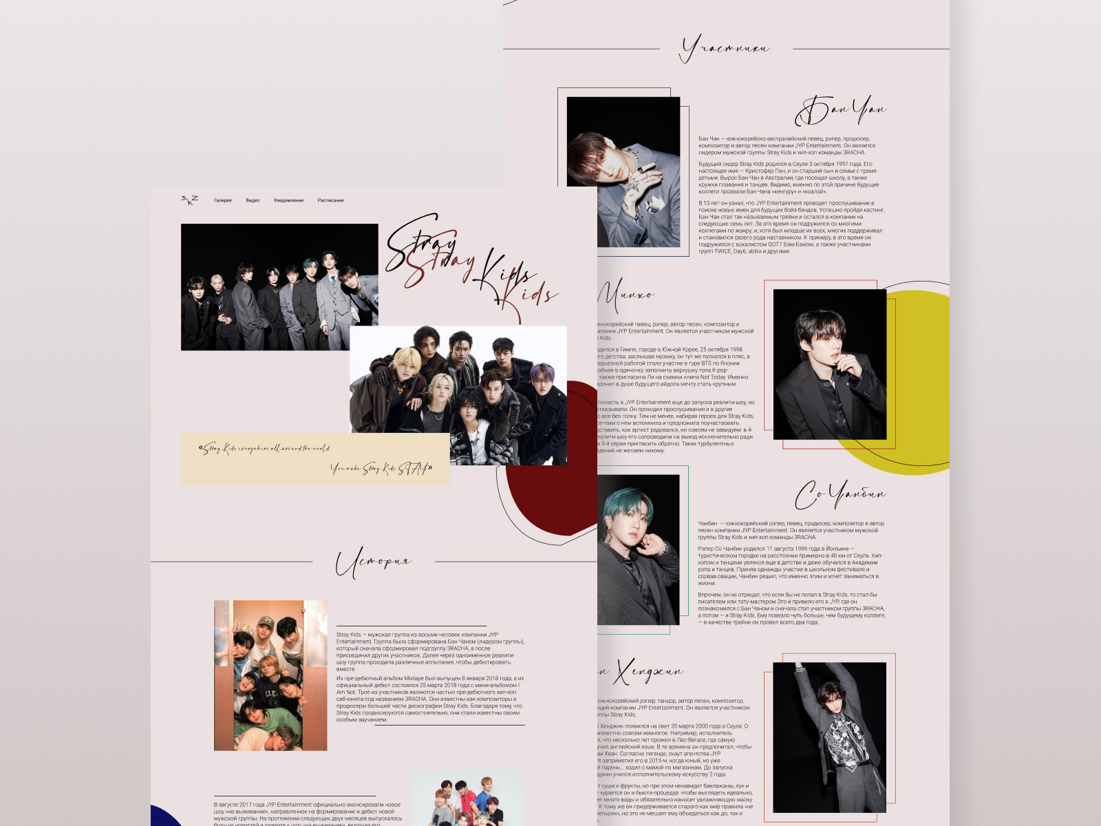Biography Stray Kids by Арина Девивье on Dribbble