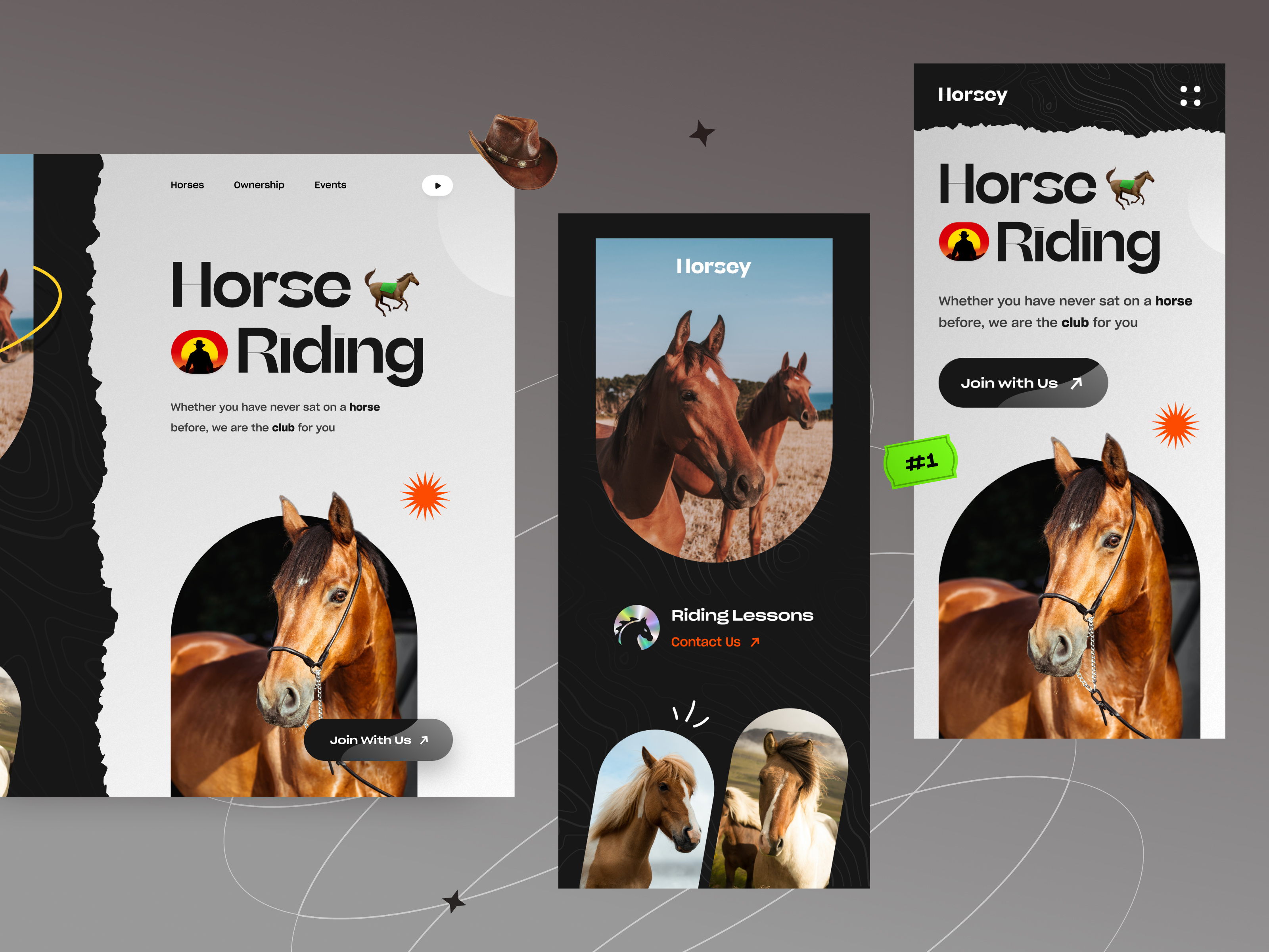 Horse Riding Club Website Design by Farzan Faruk for Rylic Studio on ...