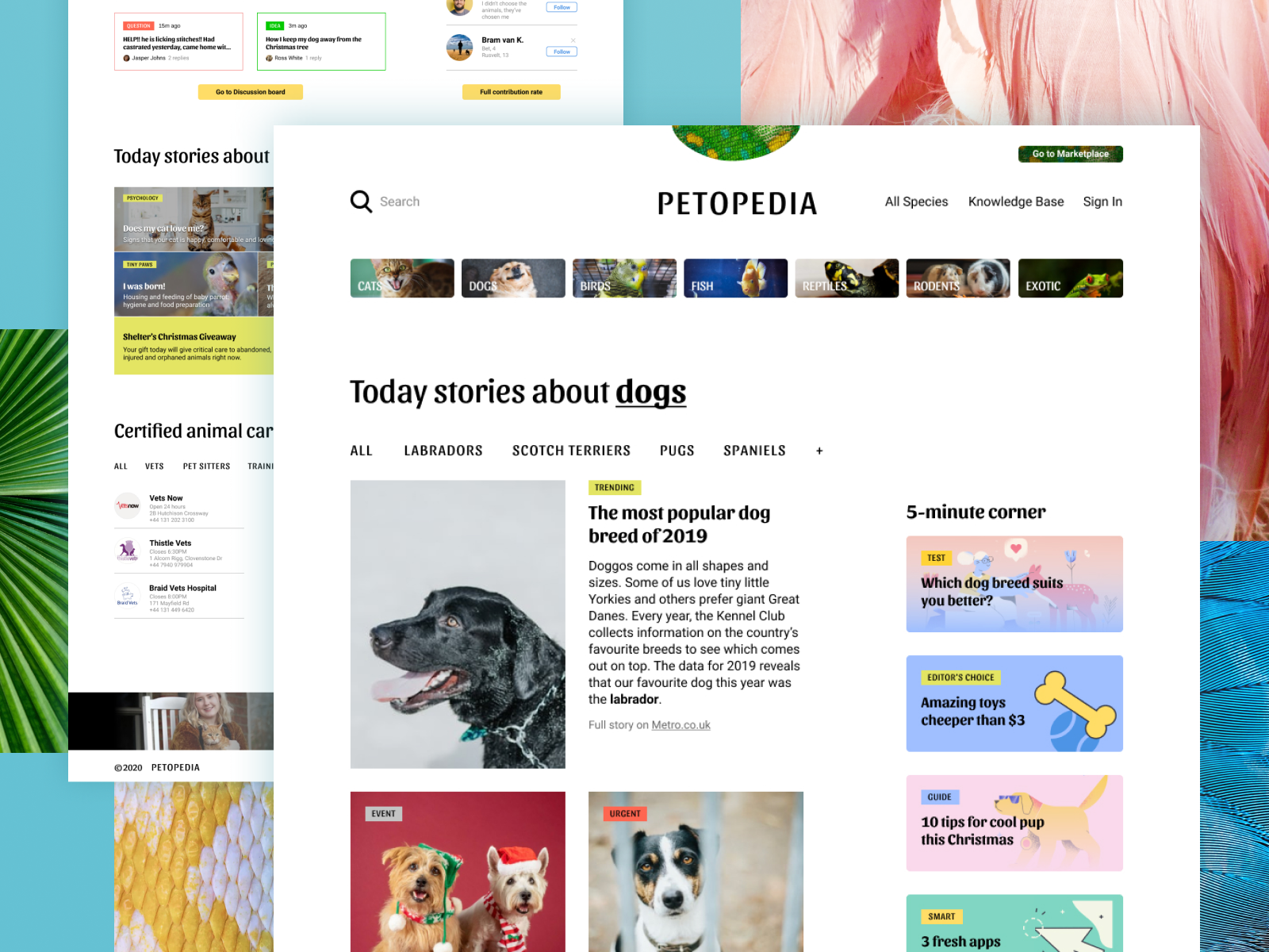 Petopedia: website about our beloved pets by Marina Matusevich on Dribbble