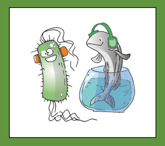 Bioindicators biomonitoring by Dimitrija Savić-Zdravković on Dribbble