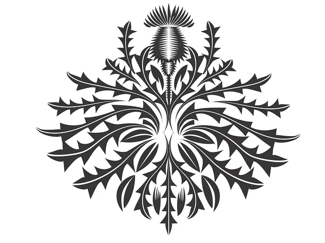 Thistle designs, themes, templates and downloadable graphic elements on ...