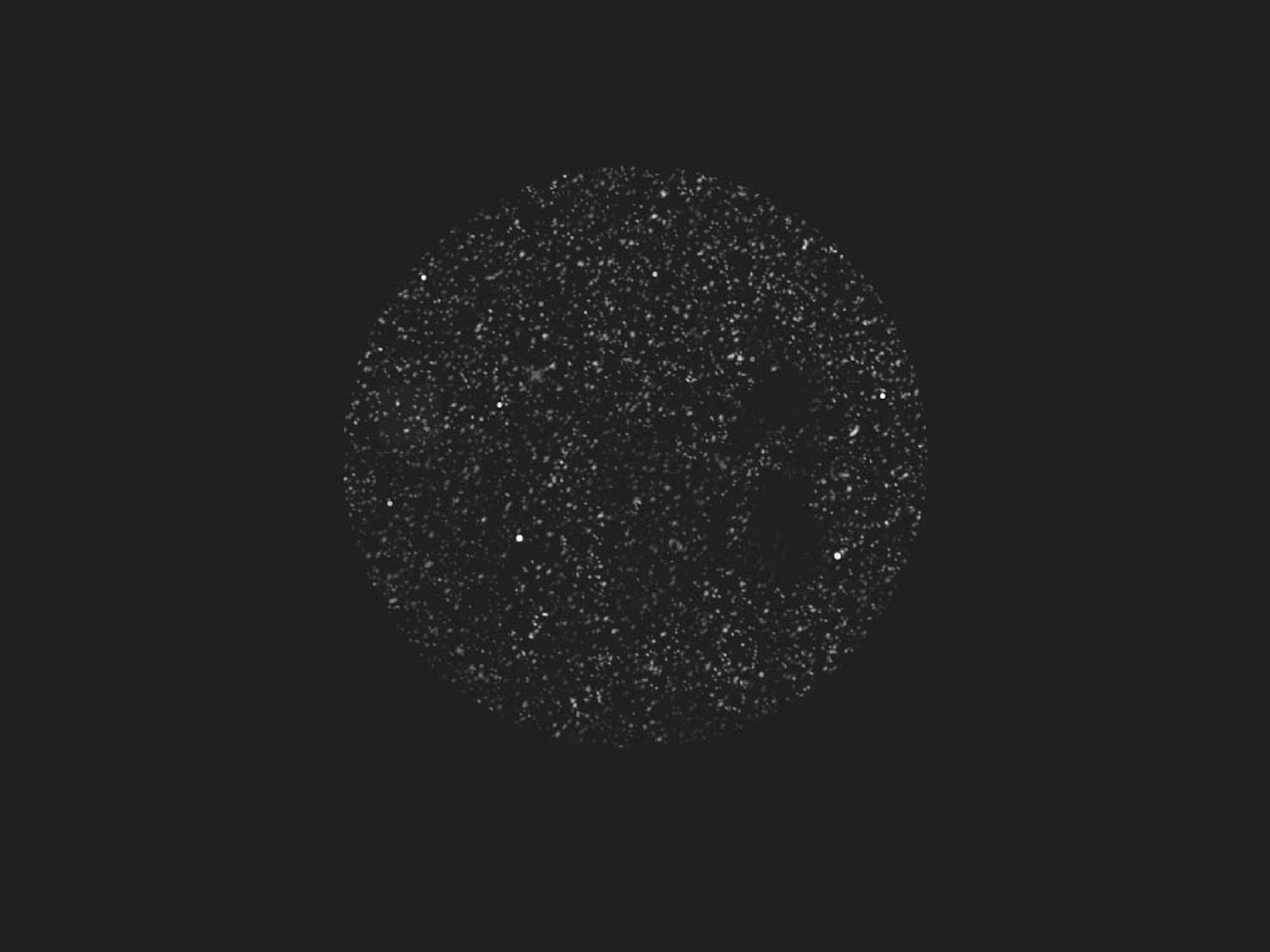 Geno logo animation by Pranali Linge on Dribbble