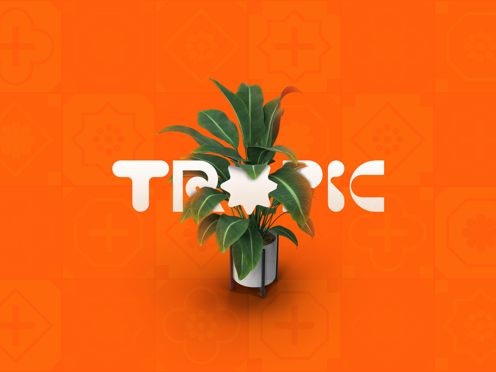 Tropic Logo & Brand Identity Design by Sam Hox on Dribbble