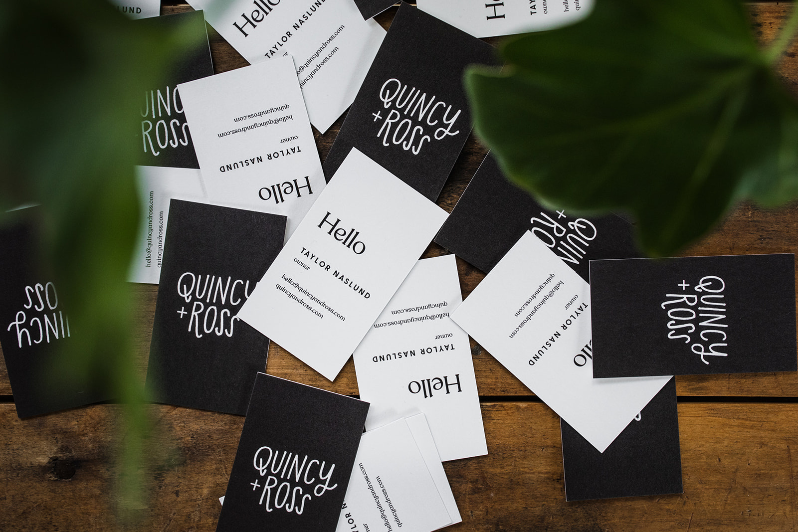 Quincy + Ross Branding by Ali Klunick on Dribbble