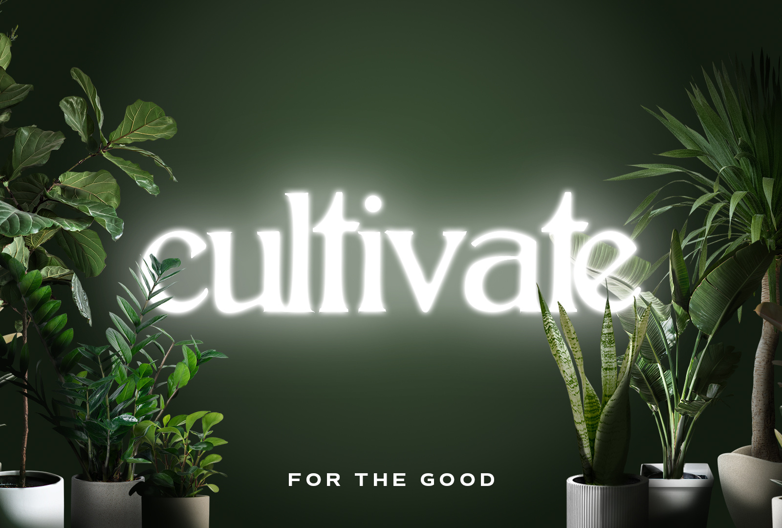 Cultivate - Church Message Series by Natasha Alfred on Dribbble
