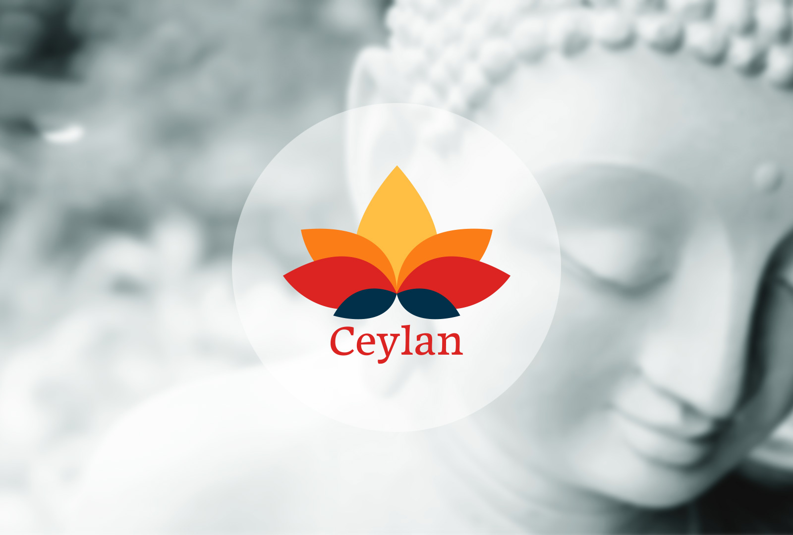 Sahan Peiris | Dribbble