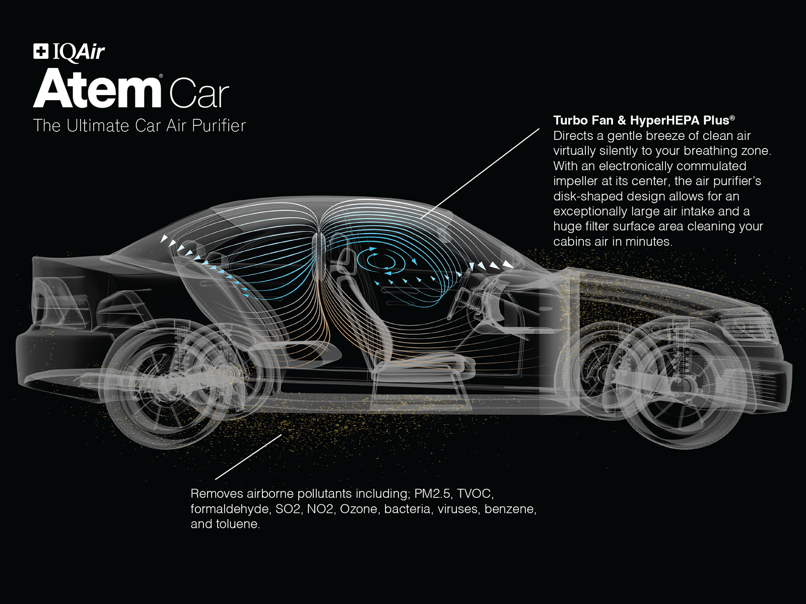 IQAir | Air flow illustration inside car by Greg Kaats on Dribbble