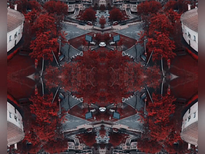 INFRARED LUT by Julia on Dribbble