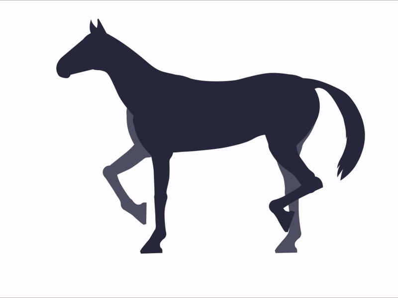 Horse Trot Cycle