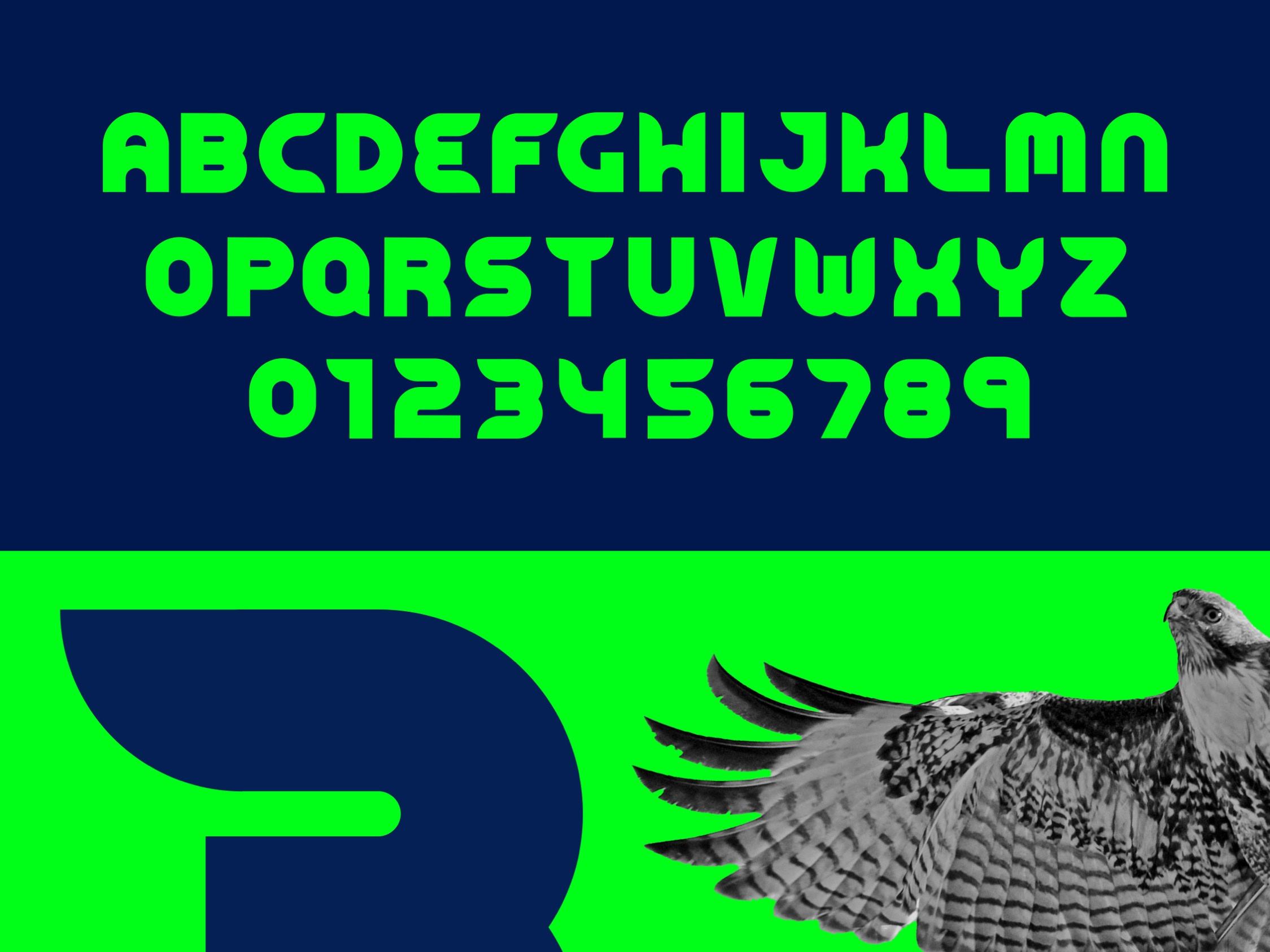 Seahawks Font by Jack Moran on Dribbble