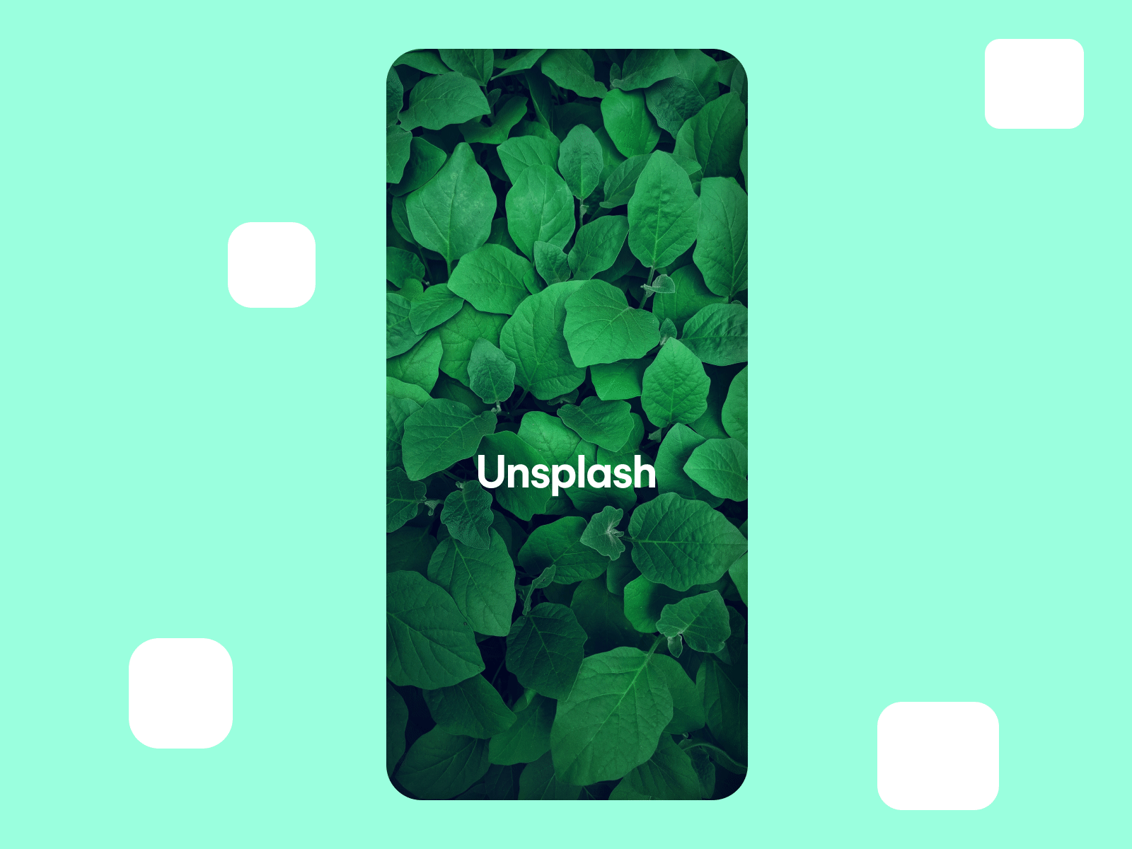 (UN)splash screen by Zlatina Stoyanova on Dribbble