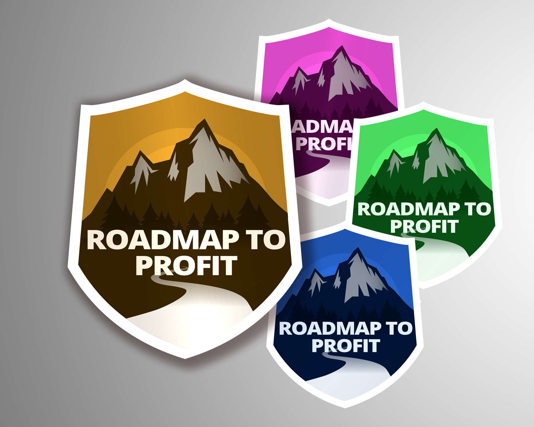 Roadmap To Profit by Nazanin Fateme Haghighat on Dribbble