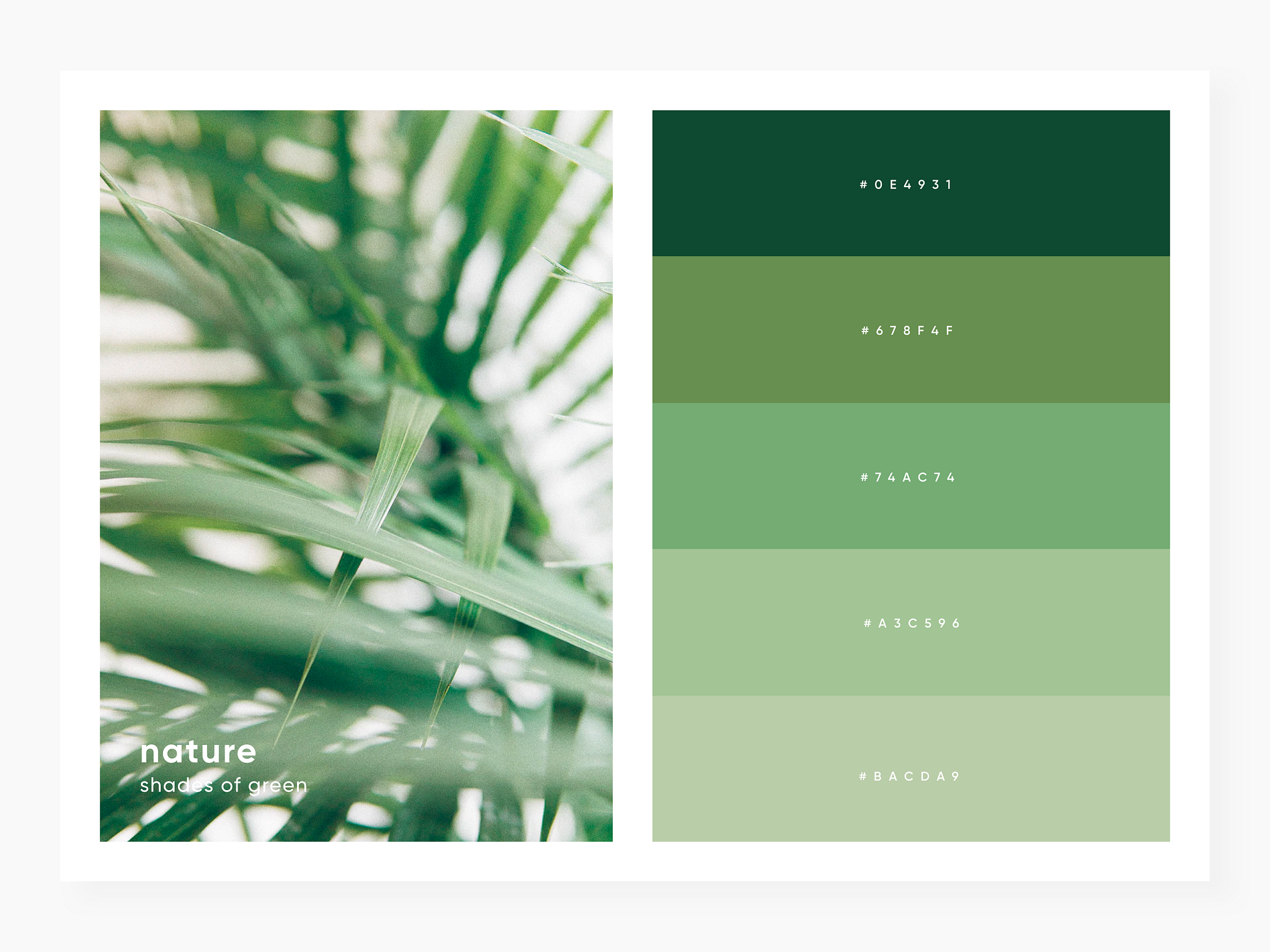 shades of green by Vivek Unni on Dribbble
