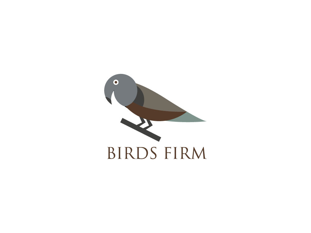 Bird Firm by Md Rasel Ali on Dribbble