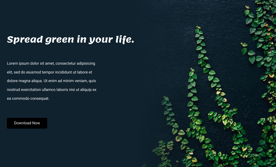 Soft Crop Color by Laurent Mbuyu on Dribbble