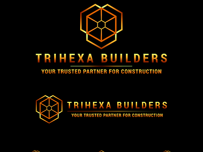 Trihexa Logo by Jahurul Islam on Dribbble