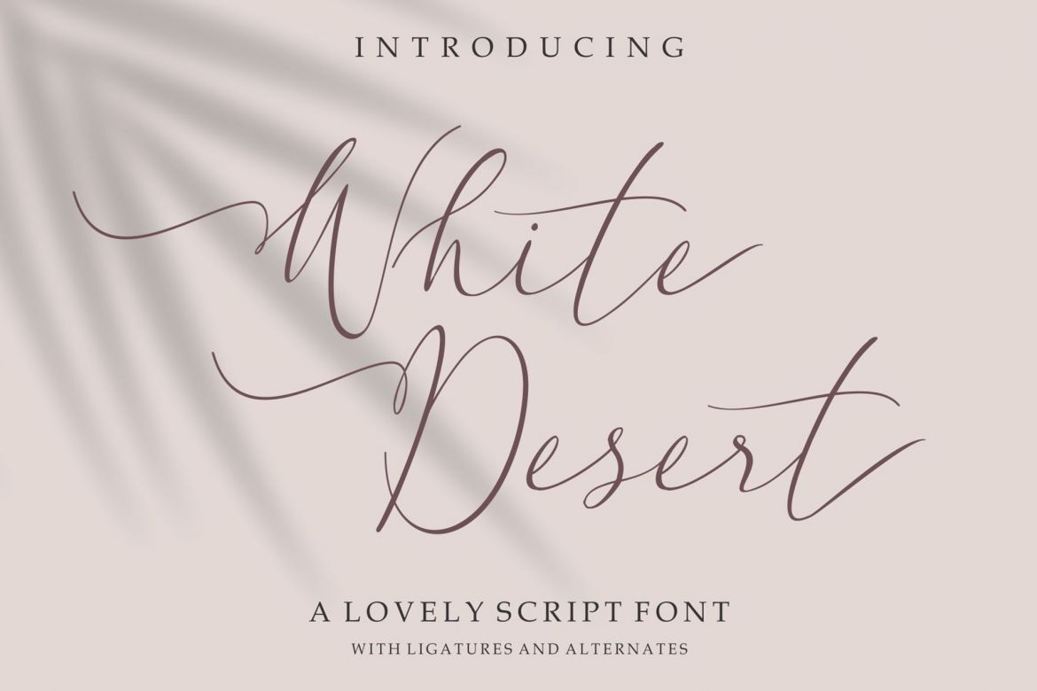 White Desert Script by Deeezy on Dribbble