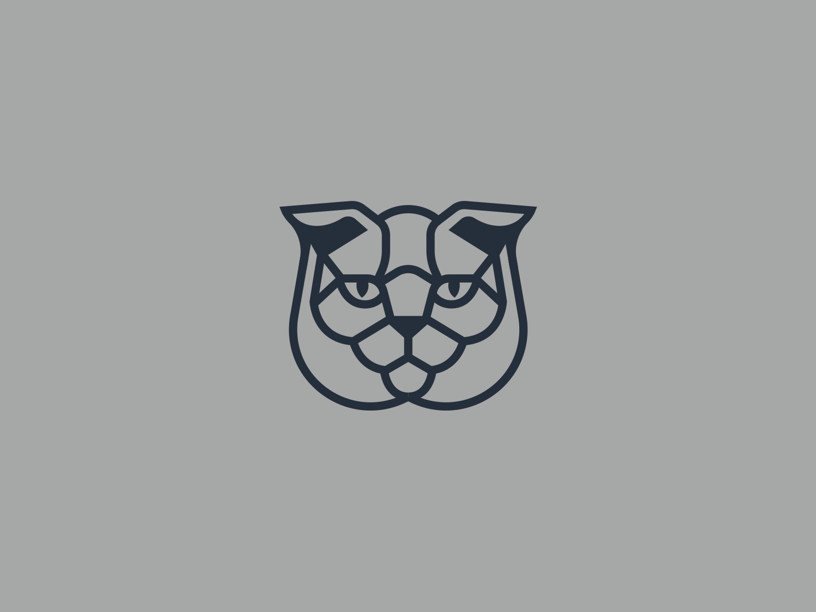 Scottish fold by Andrii Kovalchuk🇺🇦 on Dribbble