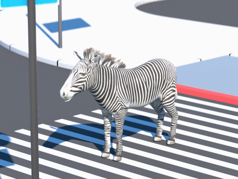 Browse thousands of Zebra Crossing images for design inspiration | Dribbble