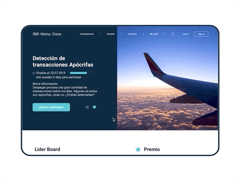 MetaData interface by Camila Hirthe on Dribbble