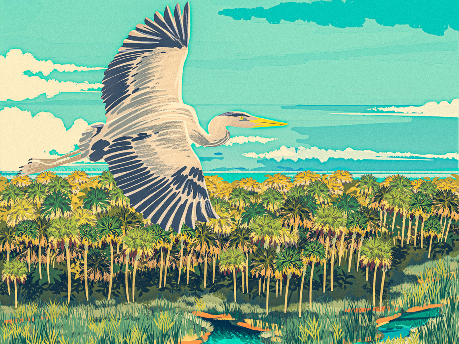 Everglades by Isaac LeFever on Dribbble