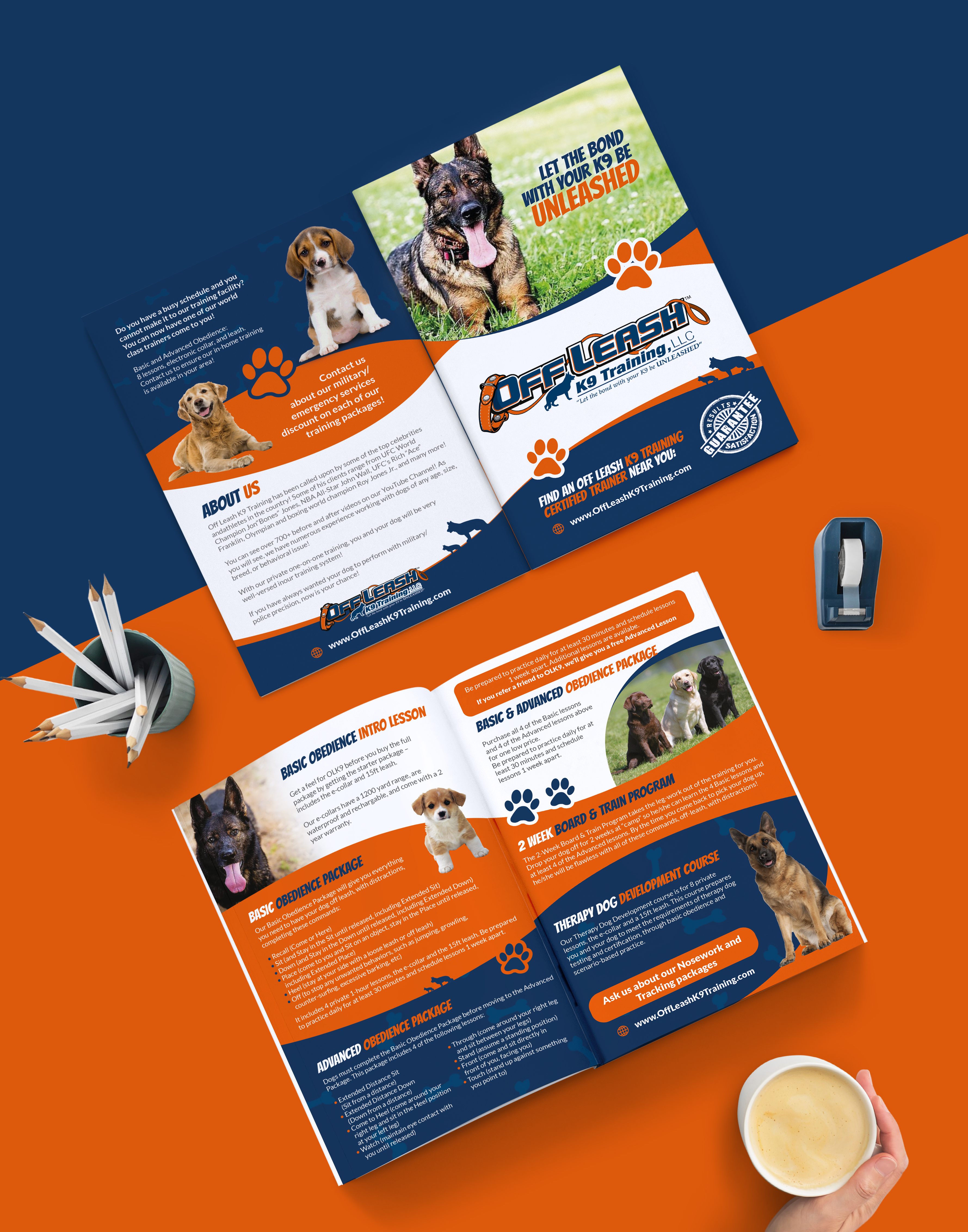 Dog Training Brochure by M. Hadi (Achiver) on Dribbble