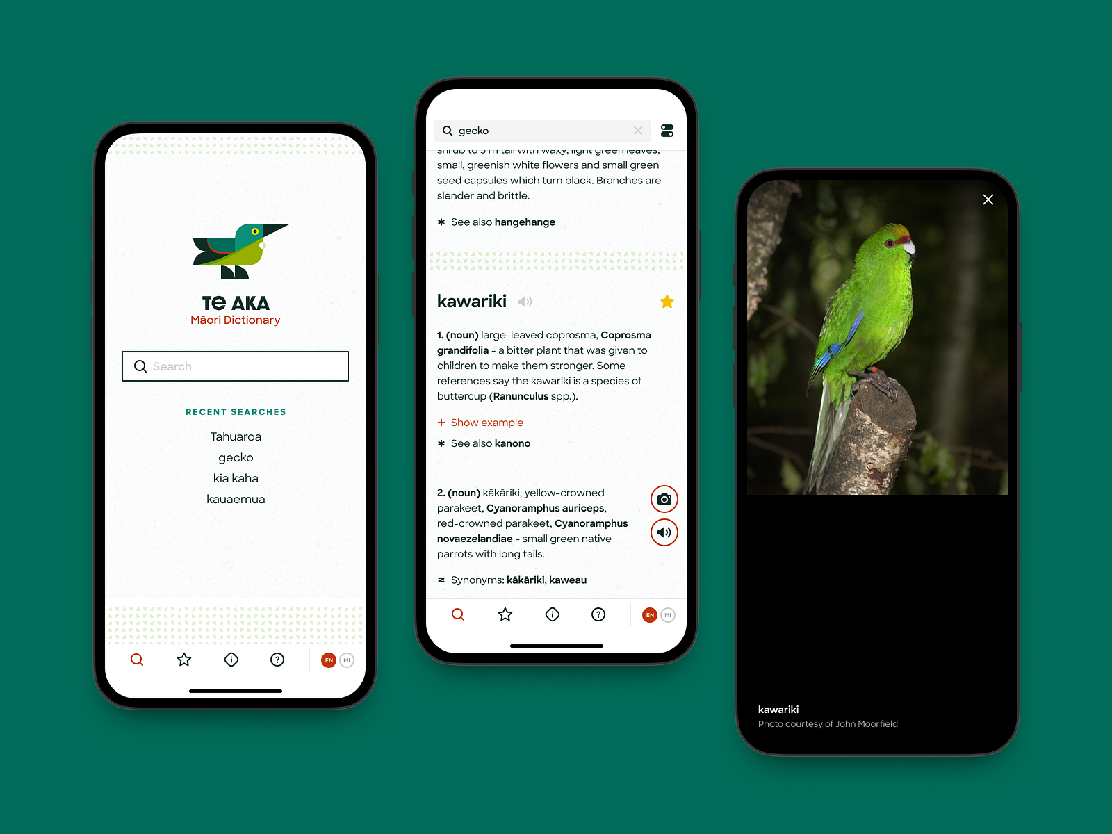 Te Aka - Māori Dictionary app by Benek Lisefski on Dribbble