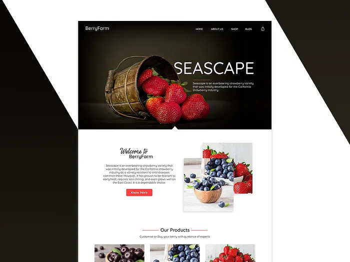 Fruit Website designs, themes, templates and downloadable graphic ...