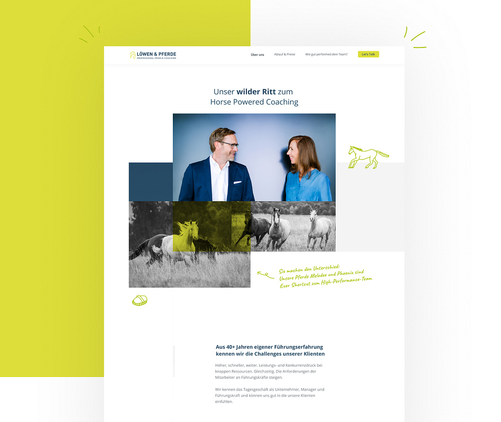 Loewen & Pferde Website by designbase.studio on Dribbble