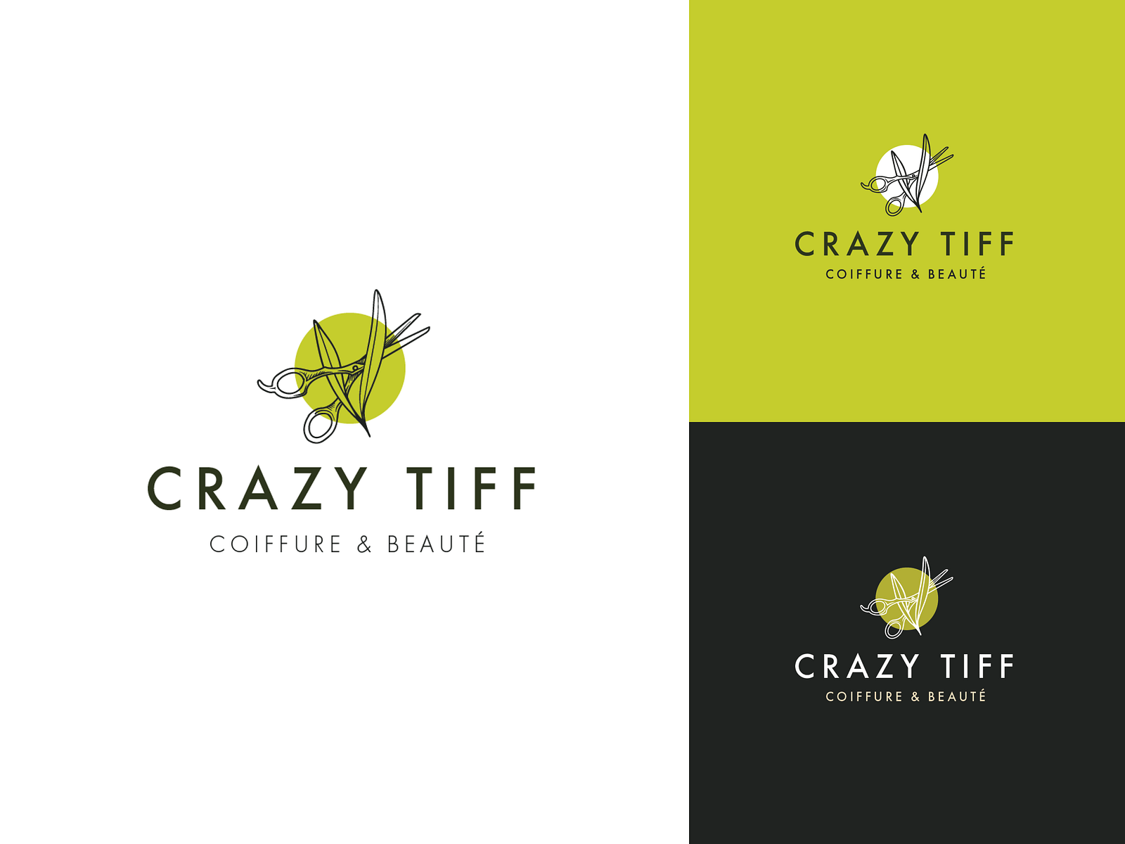 CrazyTiff - Logo design by Rémi Maringer on Dribbble