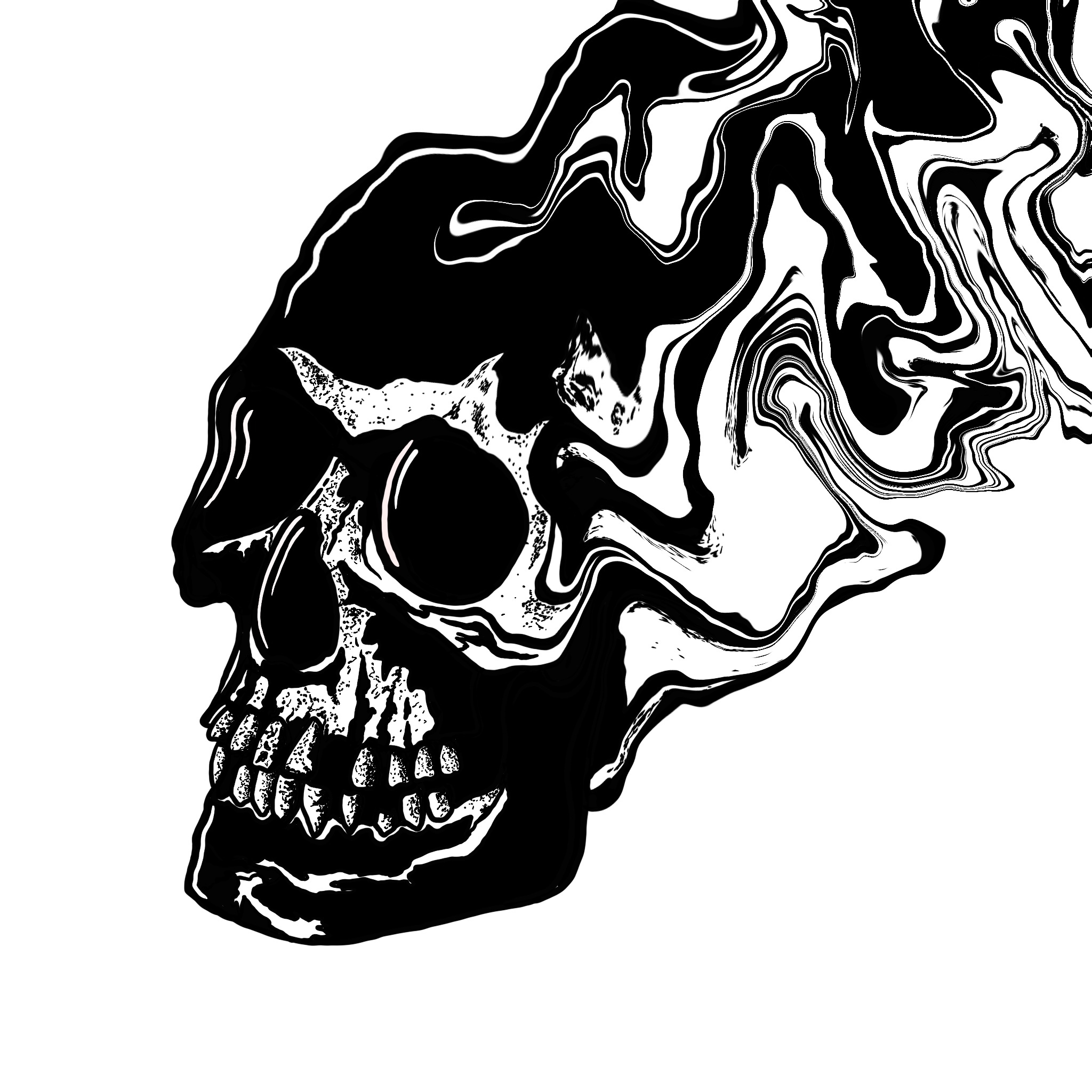 Morphing Skull by Charley Pangus on Dribbble