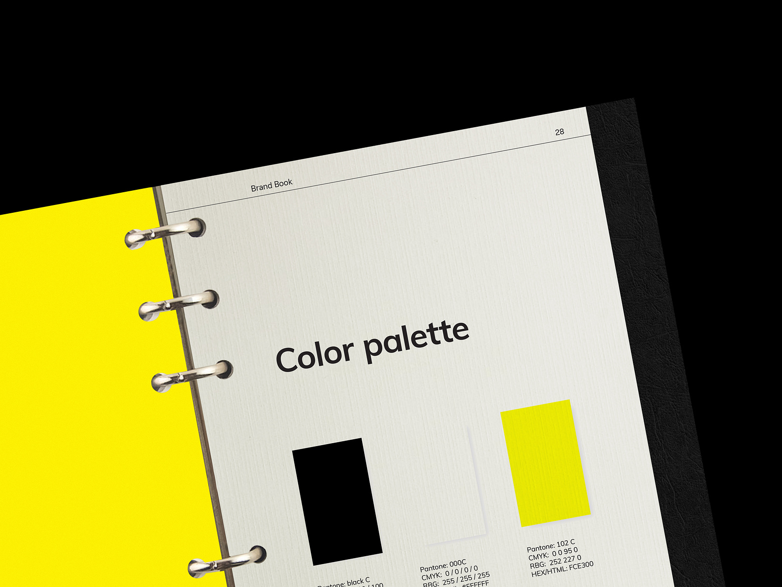 Brand Book Color Pallete by Oana Maries on Dribbble