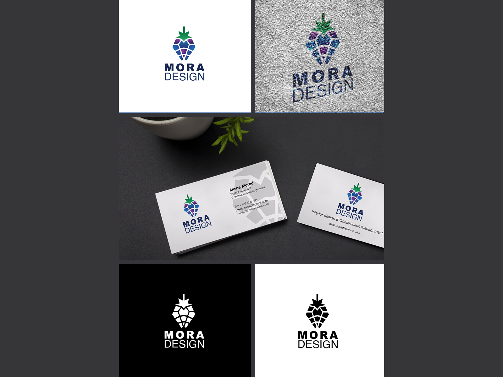 MORA DESIGN by RK Design on Dribbble