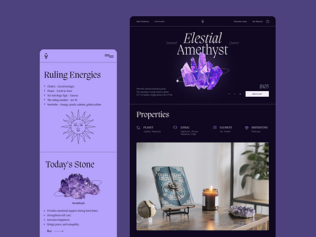 Astrology Website designs, themes, templates and downloadable graphic ...