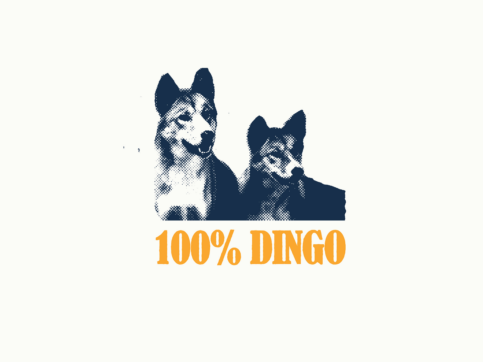100% DINGO by thomas bell on Dribbble