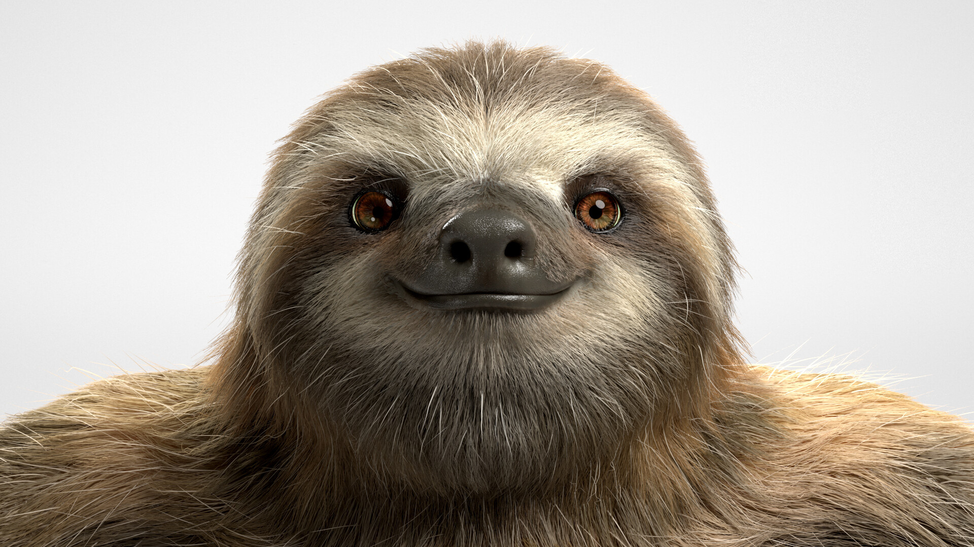 3d sloth model by Denirio Thompson on Dribbble