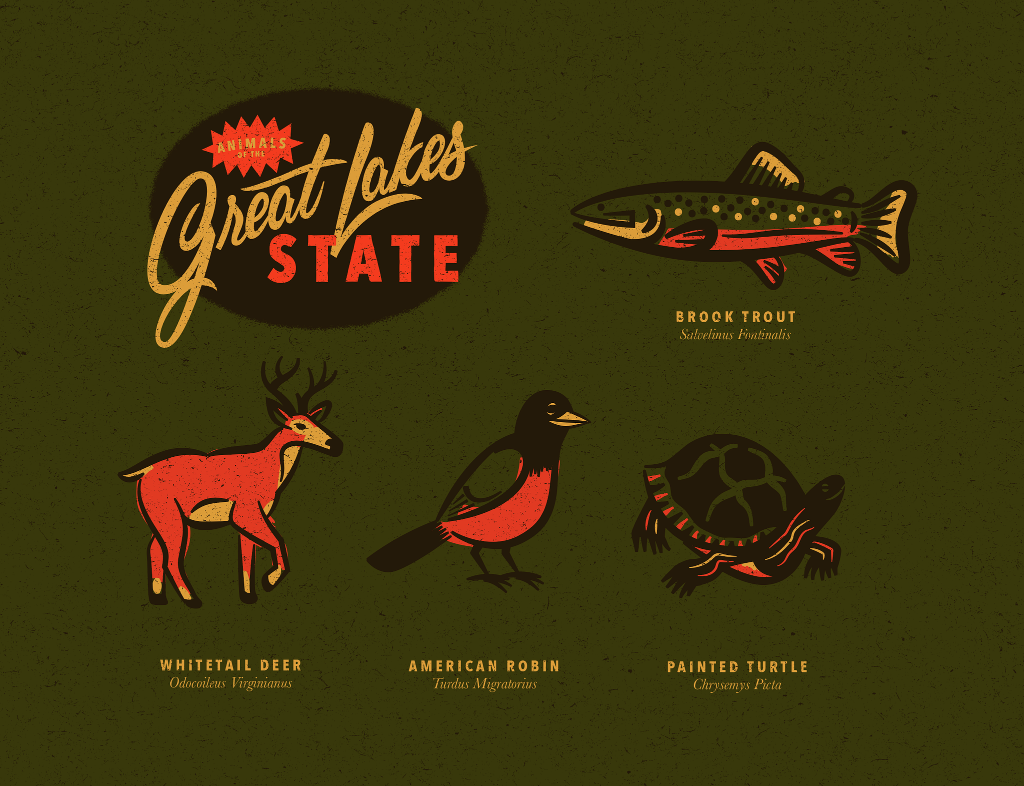 Michigan Animals by Blake Johnson on Dribbble