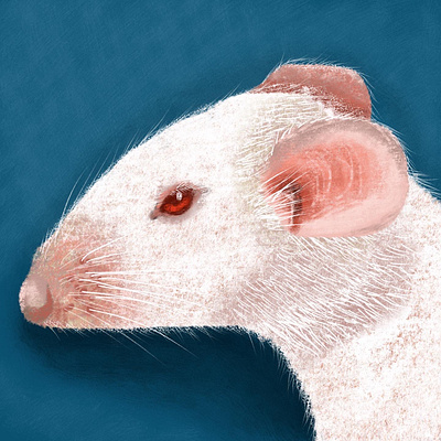 White Mouse designs, themes, templates and downloadable graphic ...