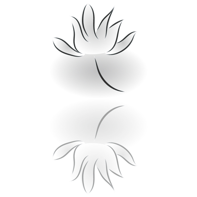 Ink Mirrior Flower by Ng Hoi Ching Belle on Dribbble
