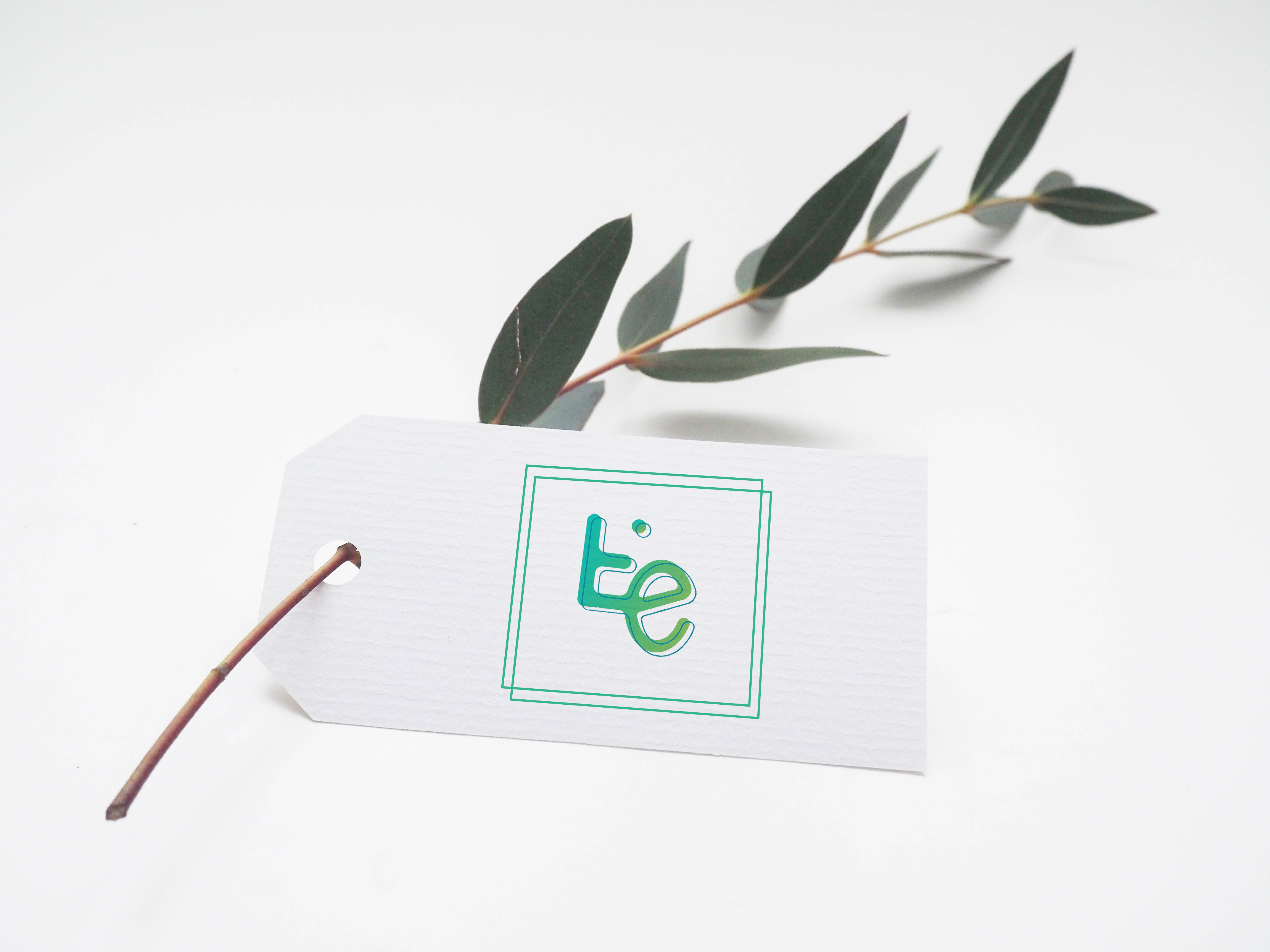 Alphabet logo by evelin edison on Dribbble