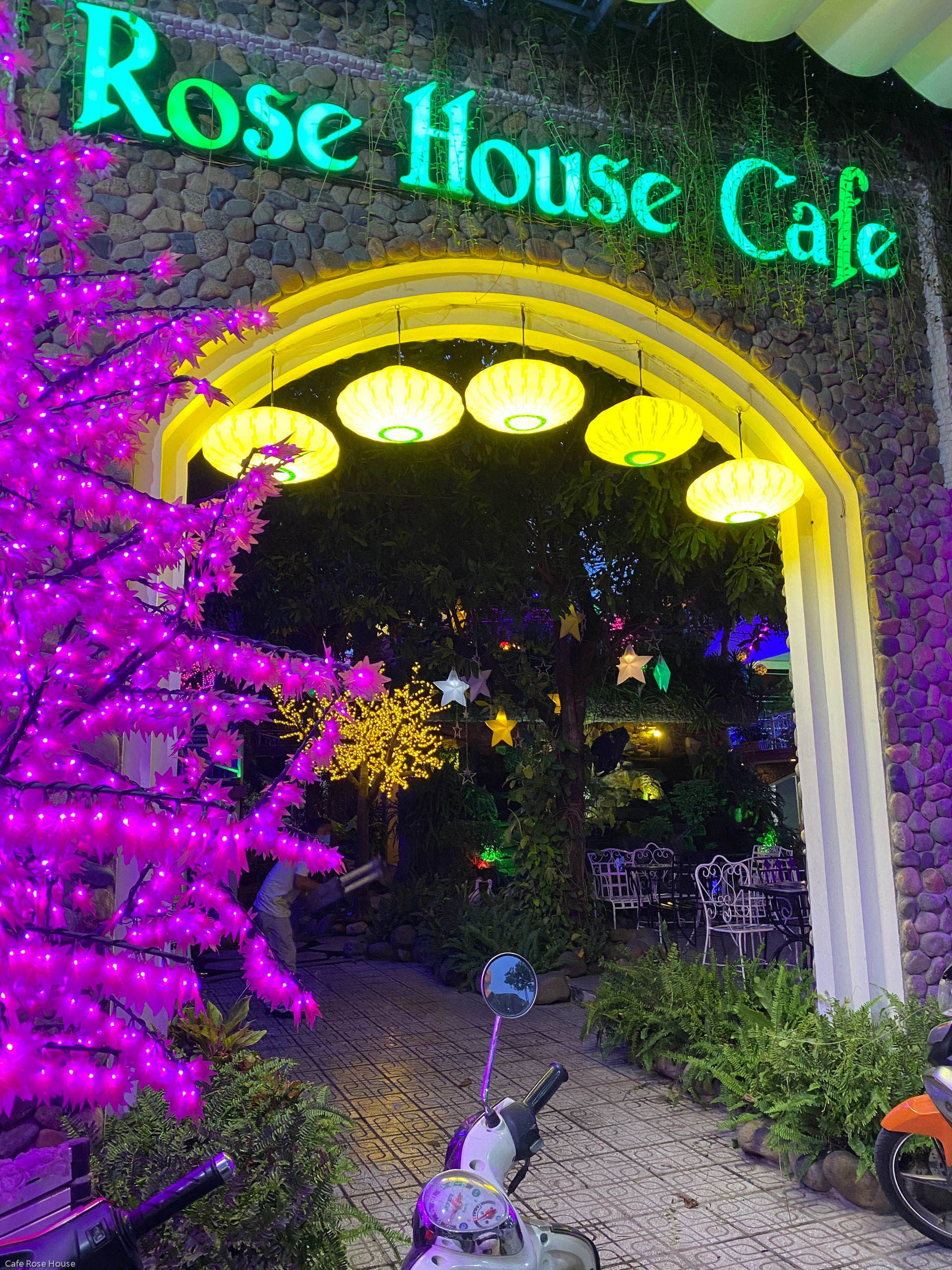 Cafe Rose House | Dribbble