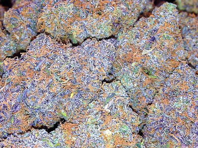 Blue Dream designs, themes, templates and downloadable graphic elements ...