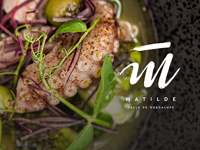 Matilde Logo by Elsa Lilian Contreras on Dribbble