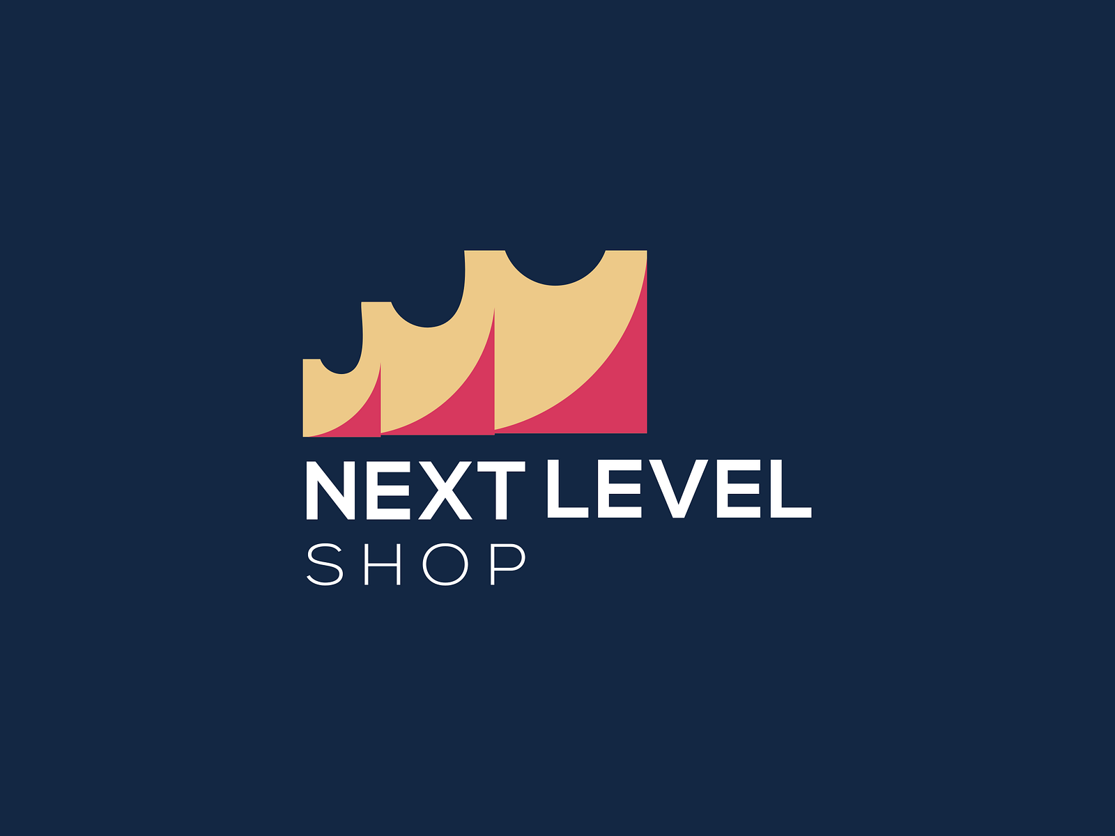 Next Level Shop by Mohammed tahar Teber on Dribbble