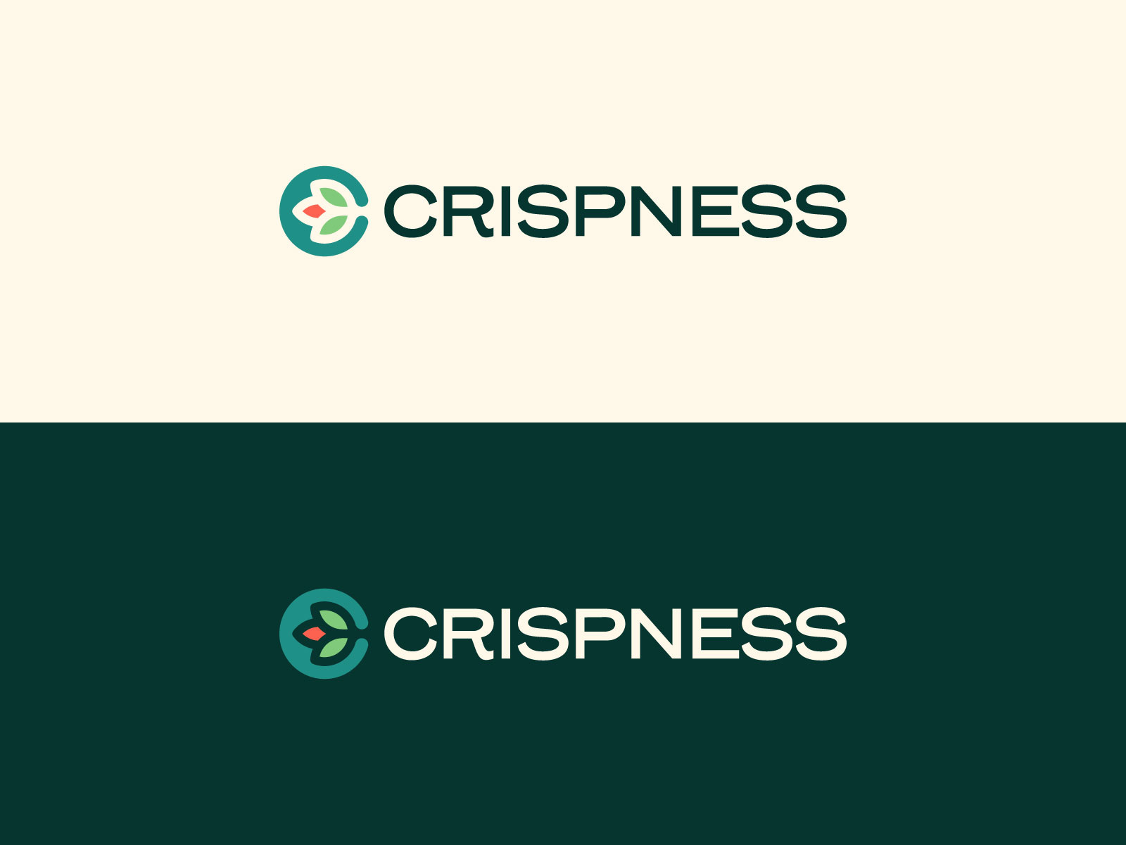 Crispness Brand Guidelines by Elif Kameşoğlu for Elbu Studio on Dribbble