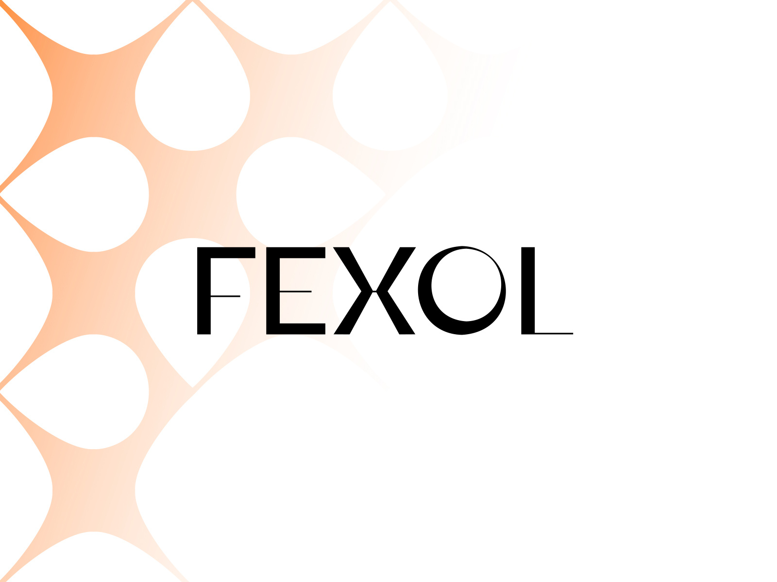 Fexol Logo Identity by Ashraful on Dribbble