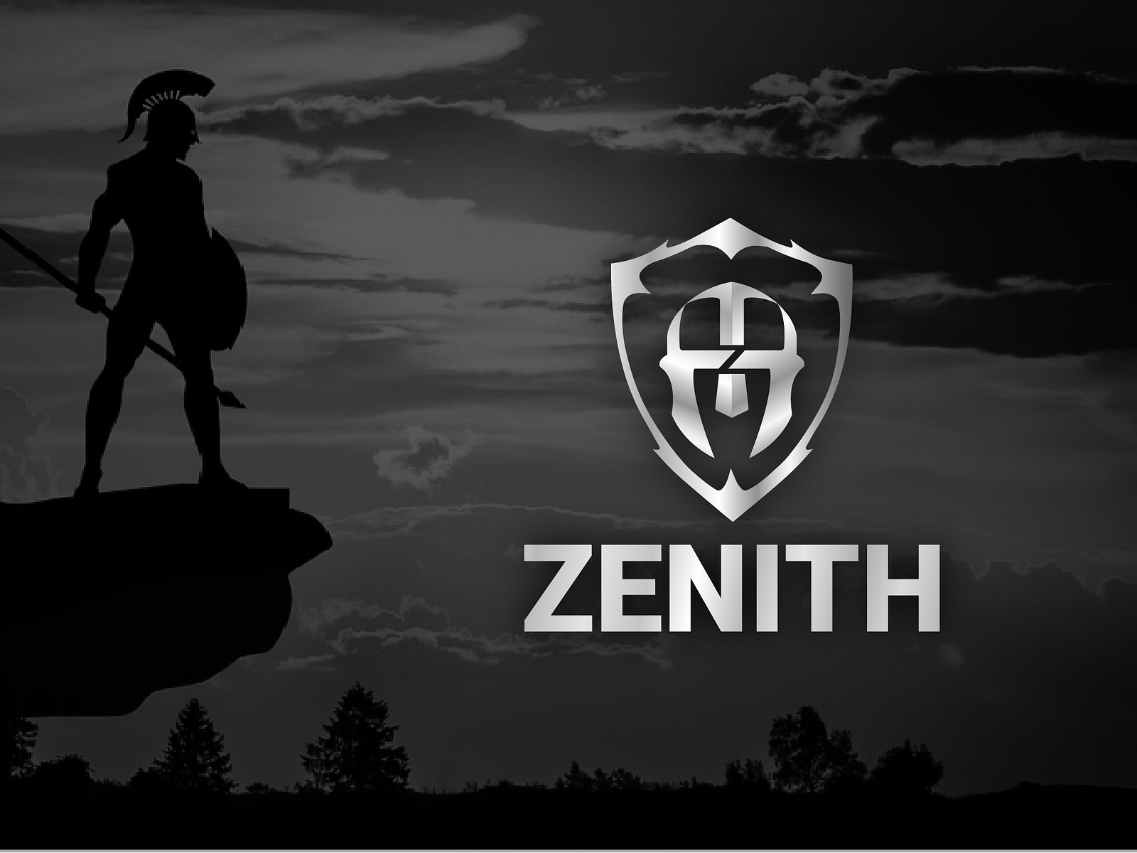 ZENITH by Md.Al-amin Hossain on Dribbble